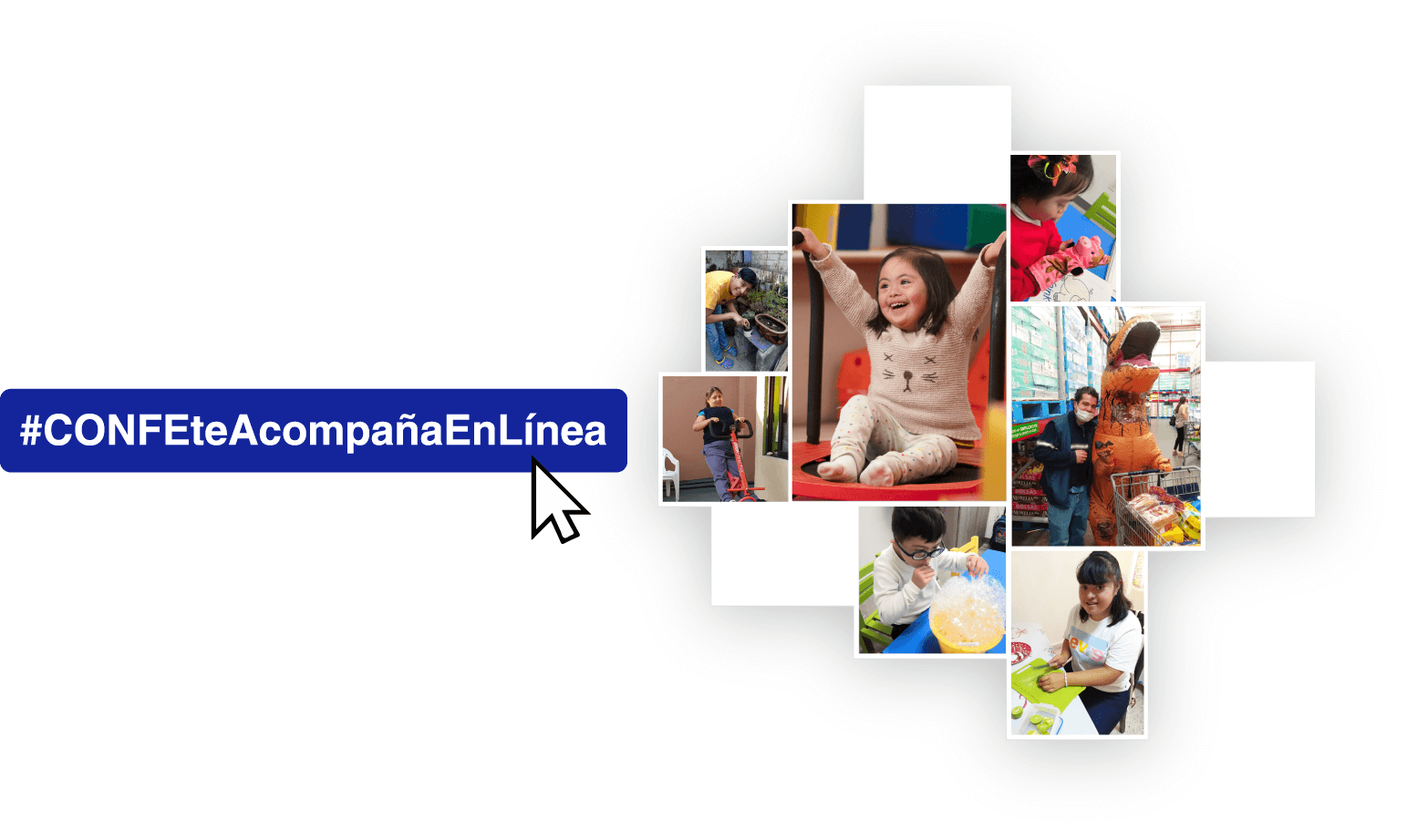 CONFE EN LINEA | CONFE